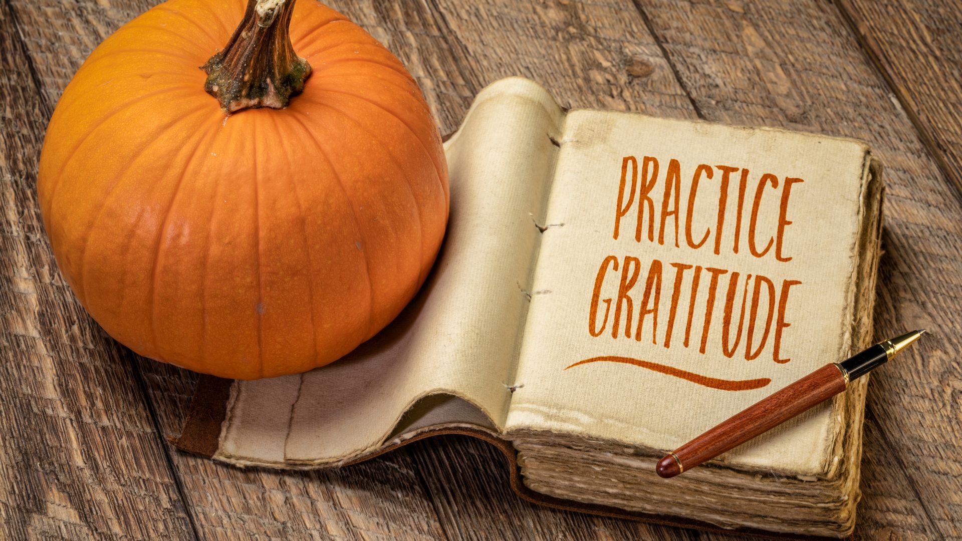 Concrete Ways to Celebrate National Gratitude Month - Timothy Dimoff